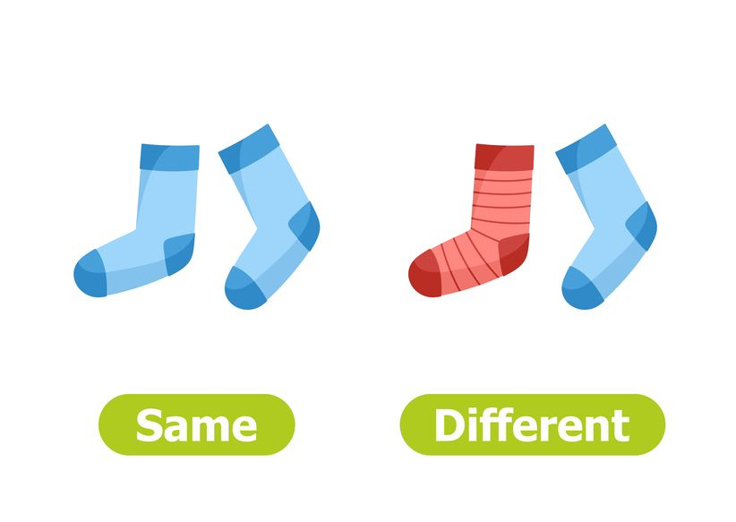 What Are You Noticing Same Or Different 